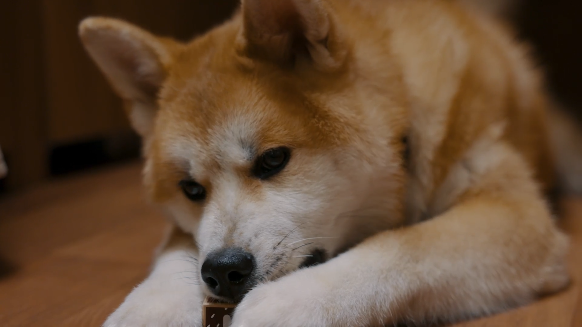 Alde Advantages | Alde