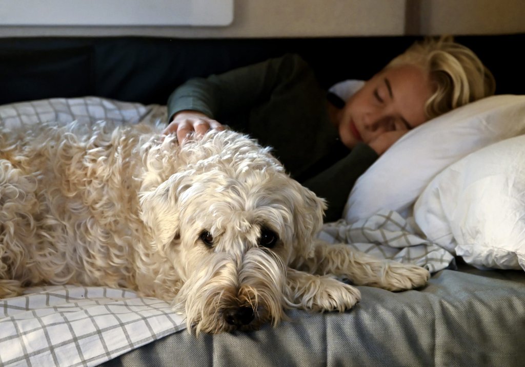 Why should I choose an Alde heating system? - Alde